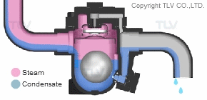 What is a Steam Trap? | TLV